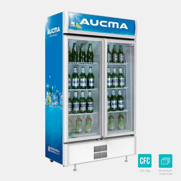 Modelo SC-1006